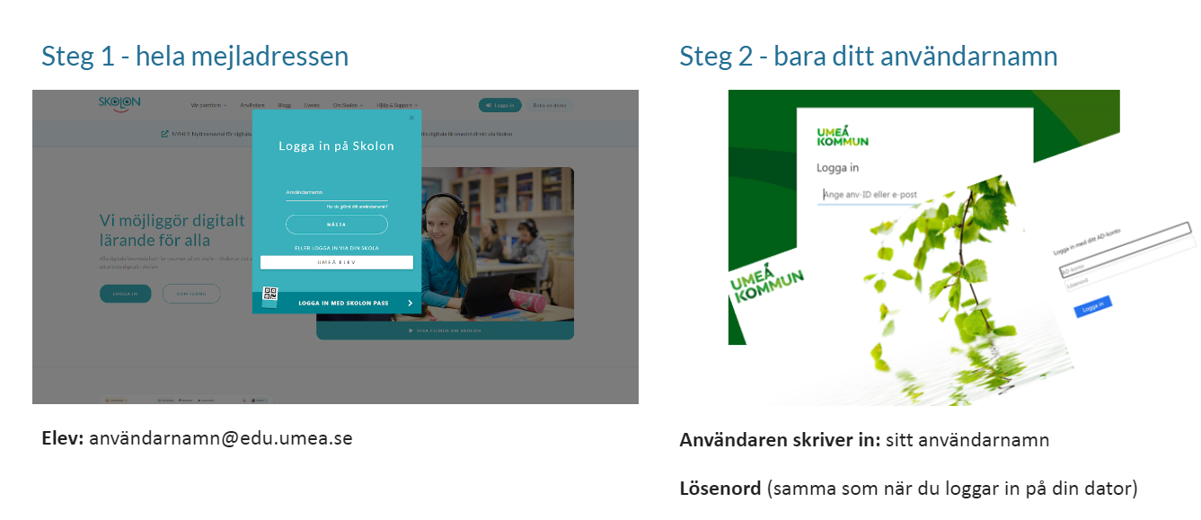 Skolon - Umeå kommun