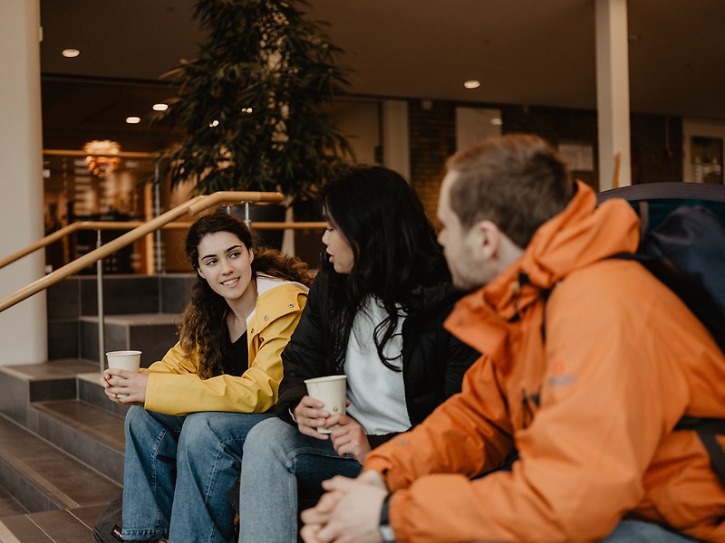 Universities in Umeå - Umeå kommun