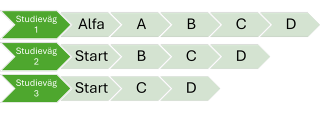 Svenska för invandrare (sfi) - Umeå kommun